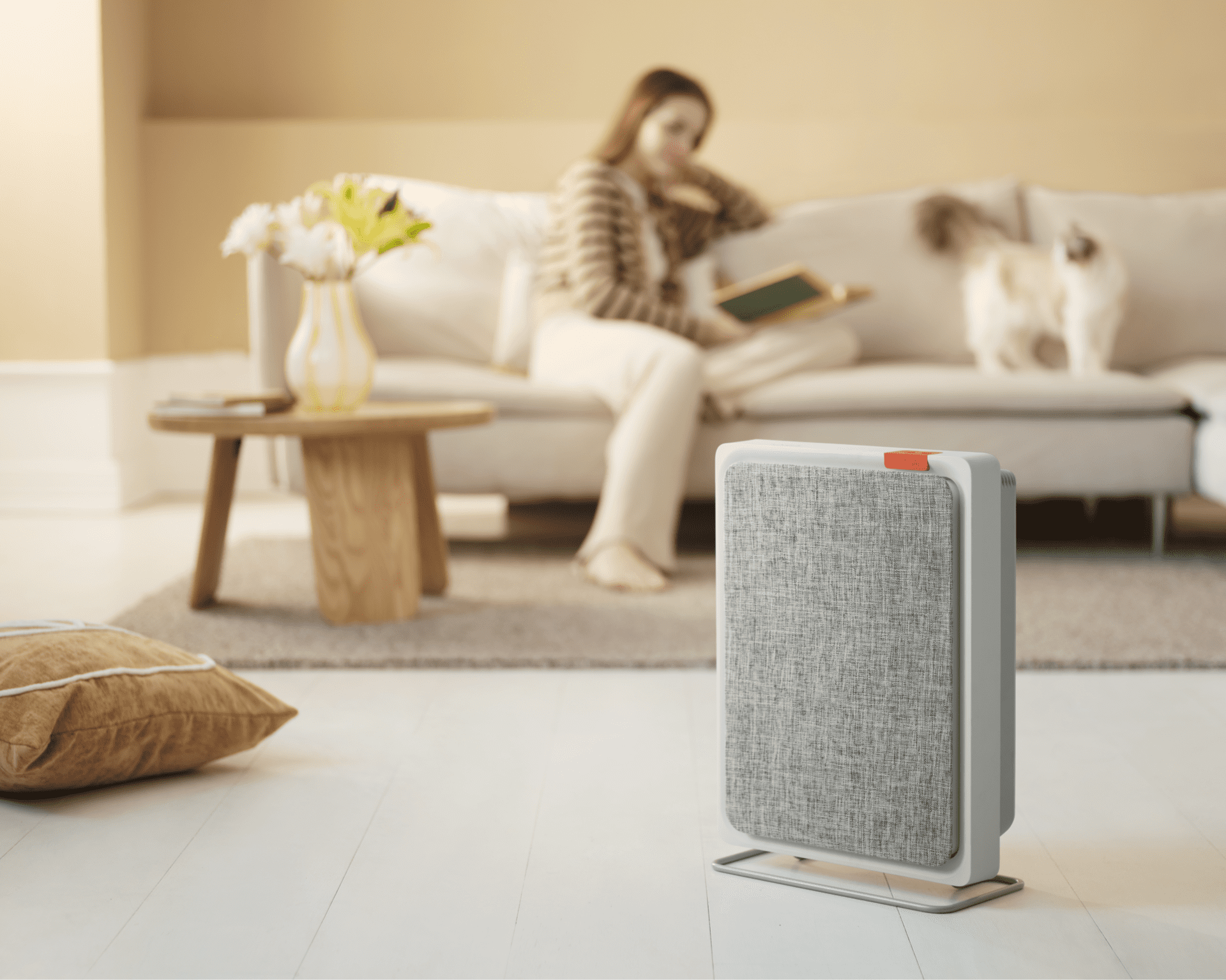 Smartmi Air Purifier E1 - smartmi US