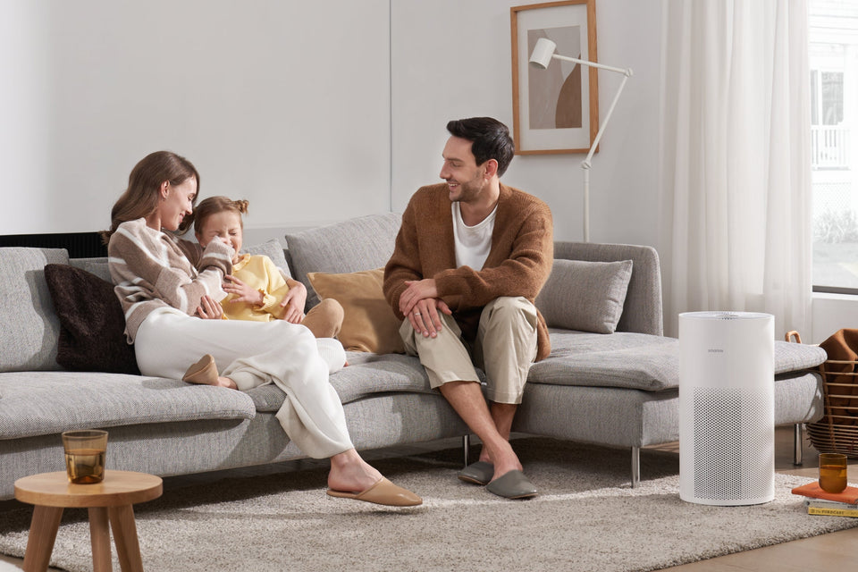 Smartmi Store | Filters - smartmi US